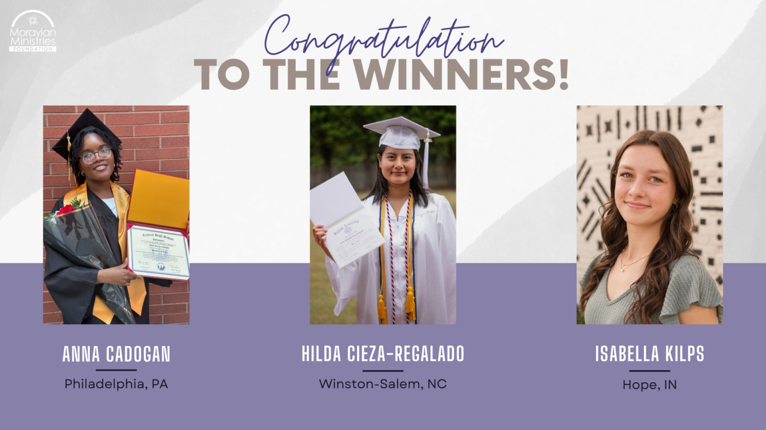 See the Forest AND the Trees - MMFA